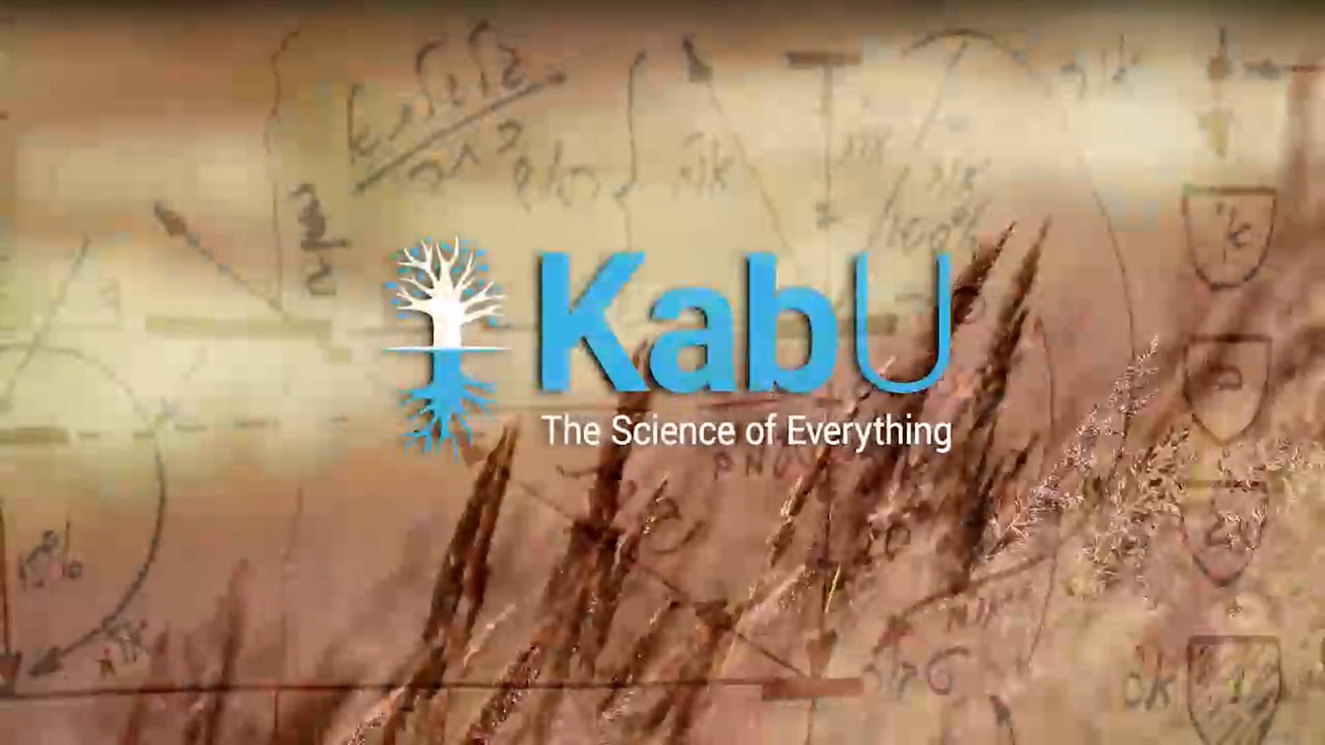 Feb 09, 2025 - The Connection Between Us - KabU