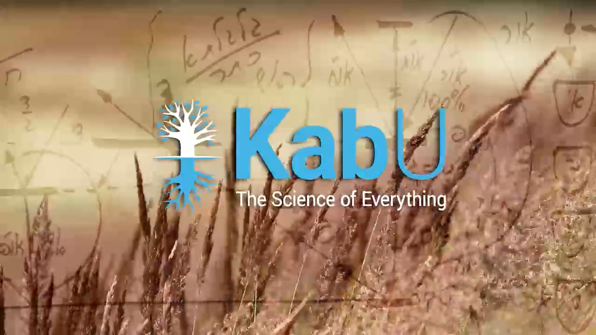 Feb 16, 2025 - The Tens - KabU