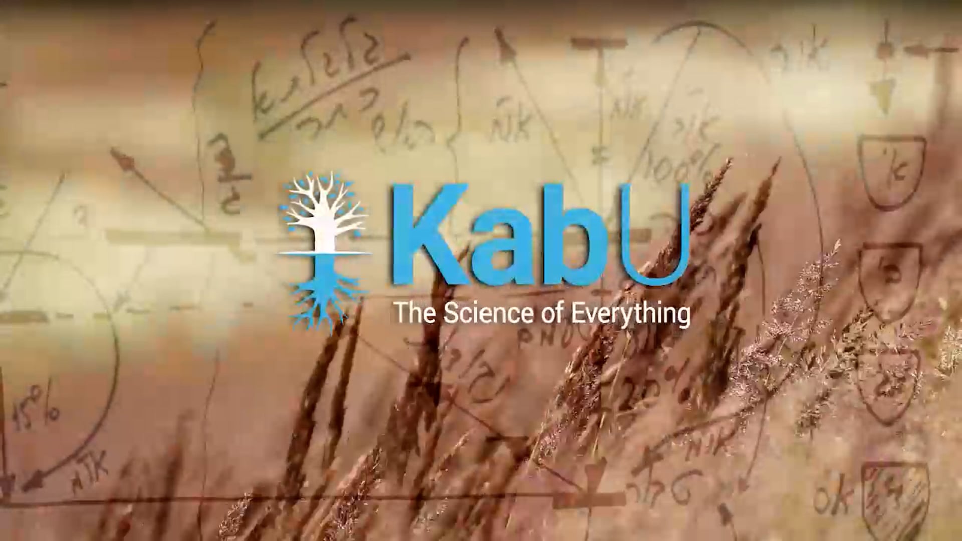 Apr 13, 2025 - Ones and Zeros - KabU